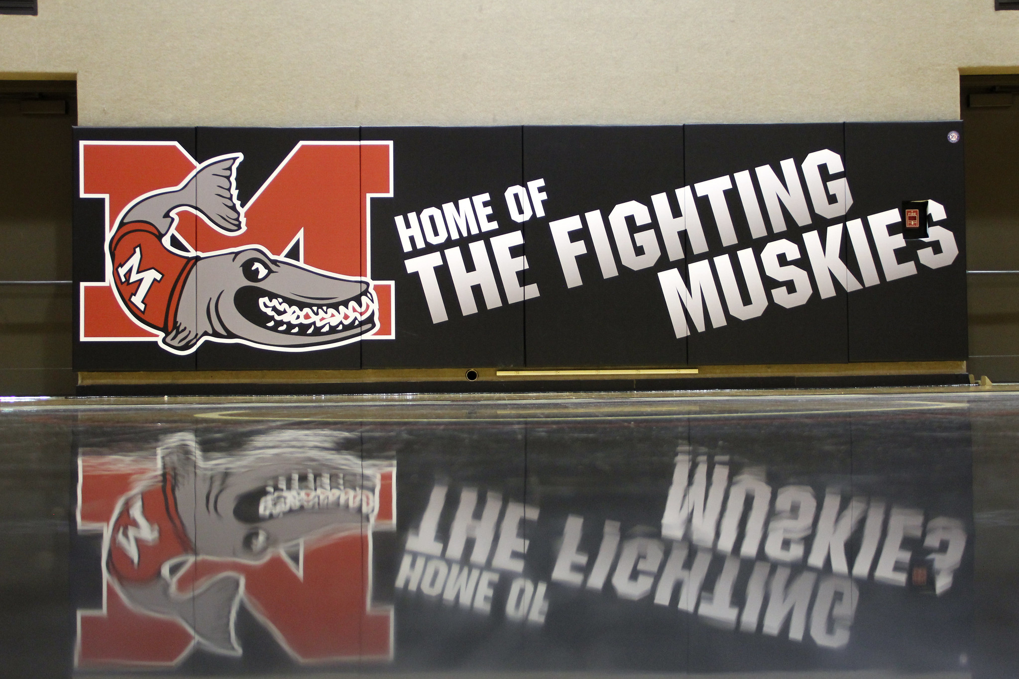 Student-Athletes Earn National and Regional Recognitions | Muskingum ...