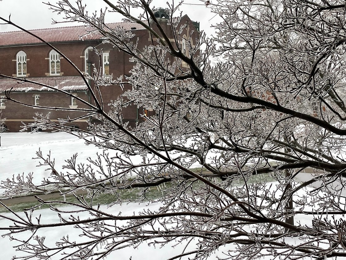 Weathering the Storm | Muskingum University