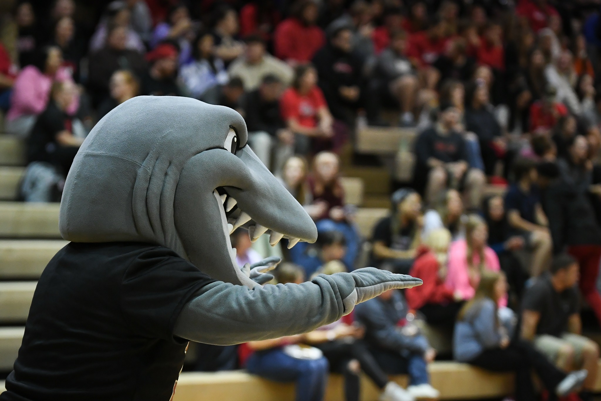Muskie Madness Brought the Energy | Muskingum University